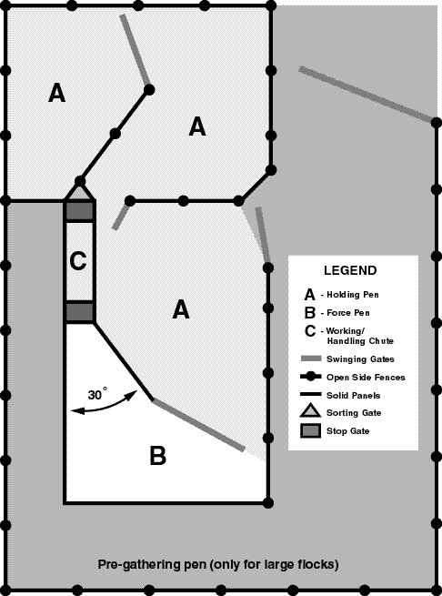 OMAFRA : Planning Your Sheep Handling Facility | Farms.com