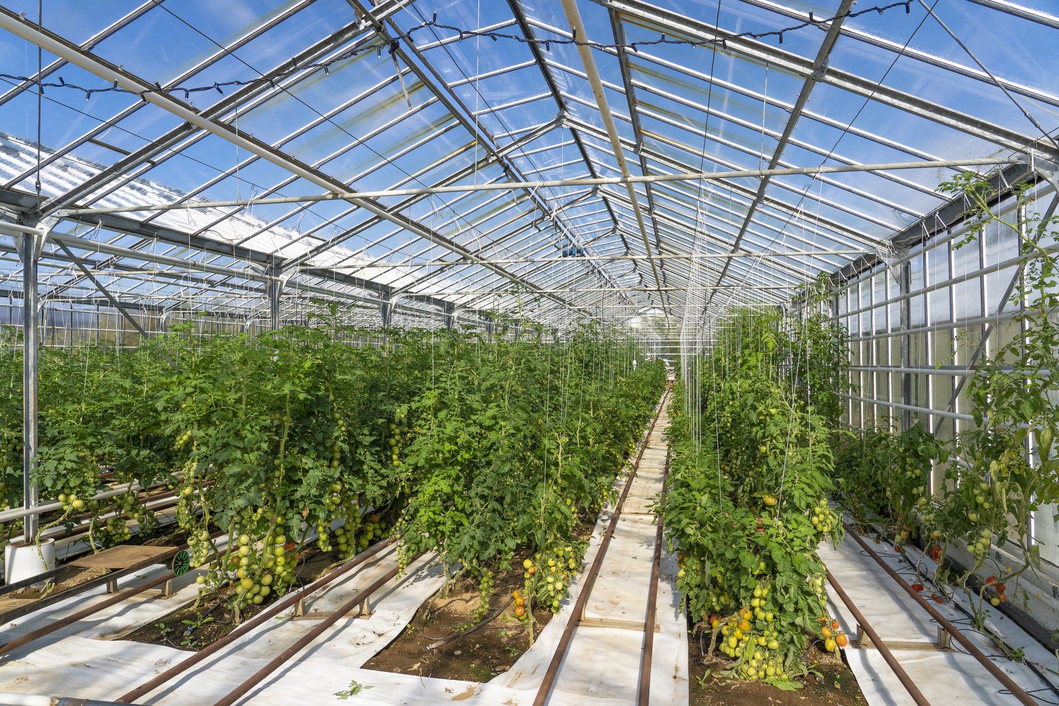 Geothermal Energy | Farm Energy | Farms.com