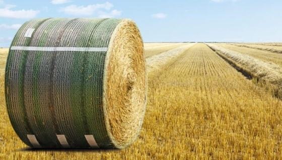 Growing, Harvesting, and Baling Hay: A Complete Guide | Farms.com