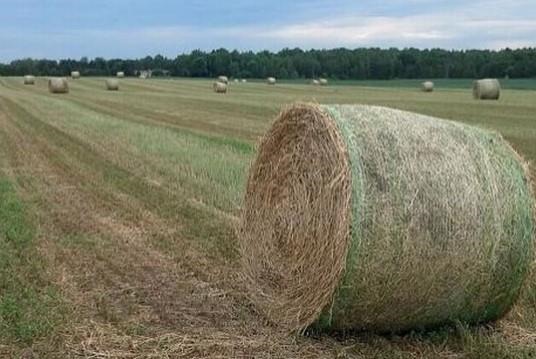 How To Get The Most Out Of Your Baleage | Farms.com