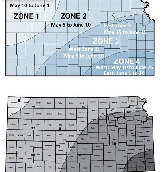 Soybean Planting Dates And Maturity Group | Farms.com