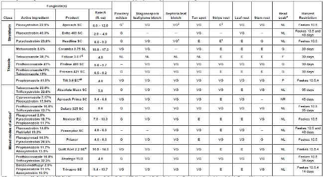 When to Pull the Trigger on Wheat Fungicide | Farms.com