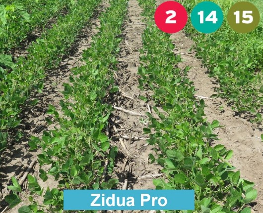 Get to Know Your Soybean Herbicide SOAs | Farms.com